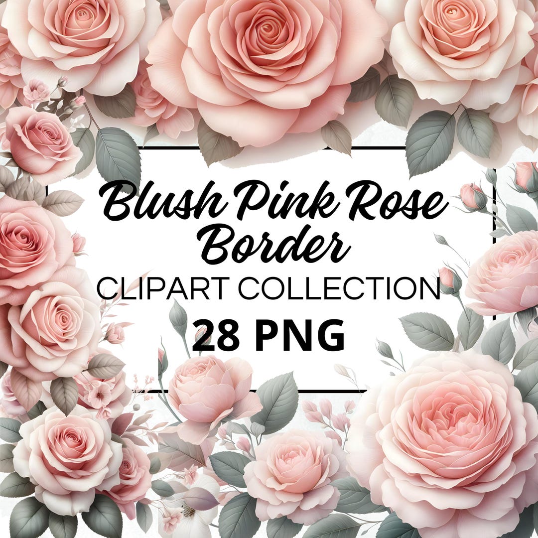 Blush Pink Rose Border Clipart Collection, 28 Watercolor Pngs for ...