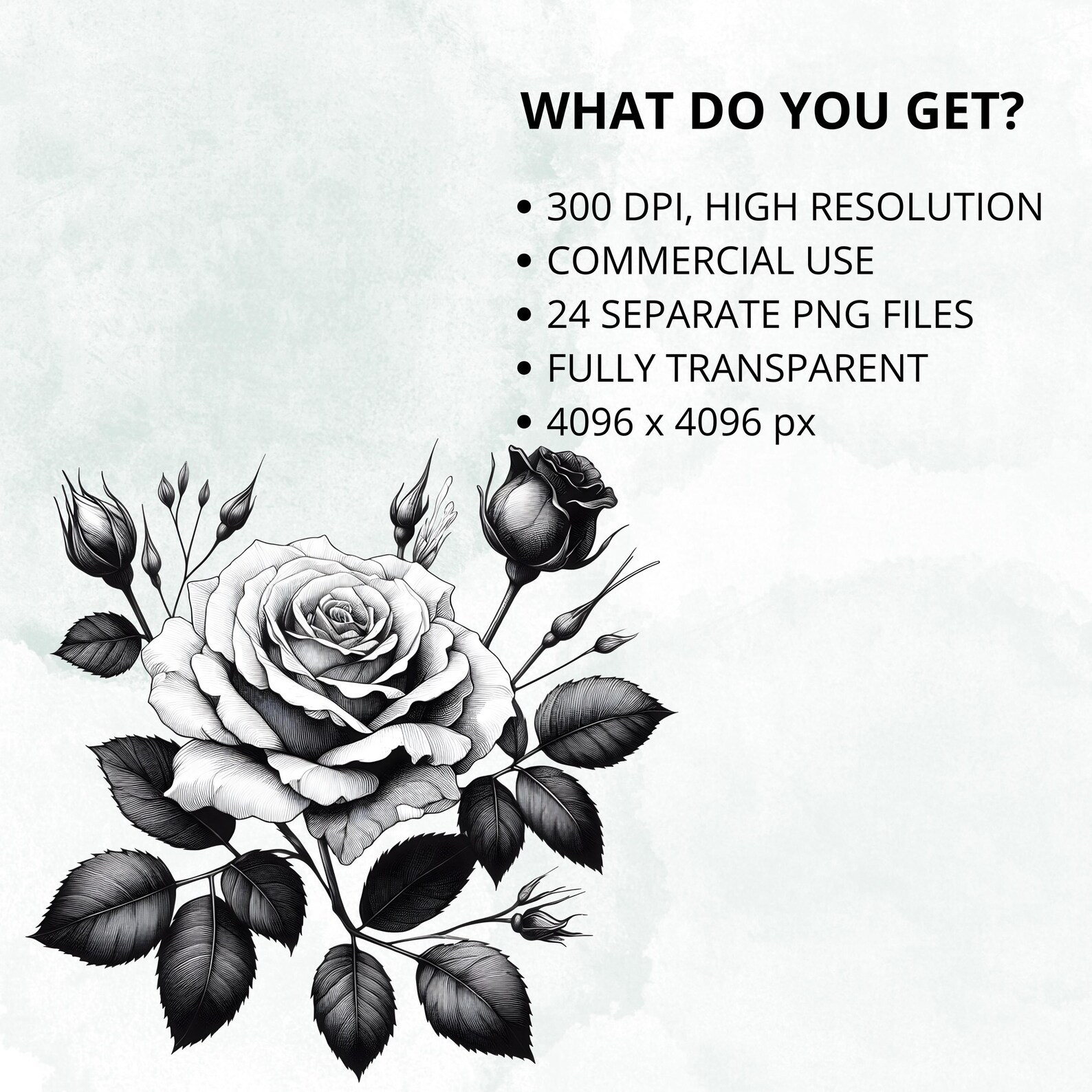 24 Watercolor Black Line Rose Clipart Bundle, Watercolor Clipart, PNG ...