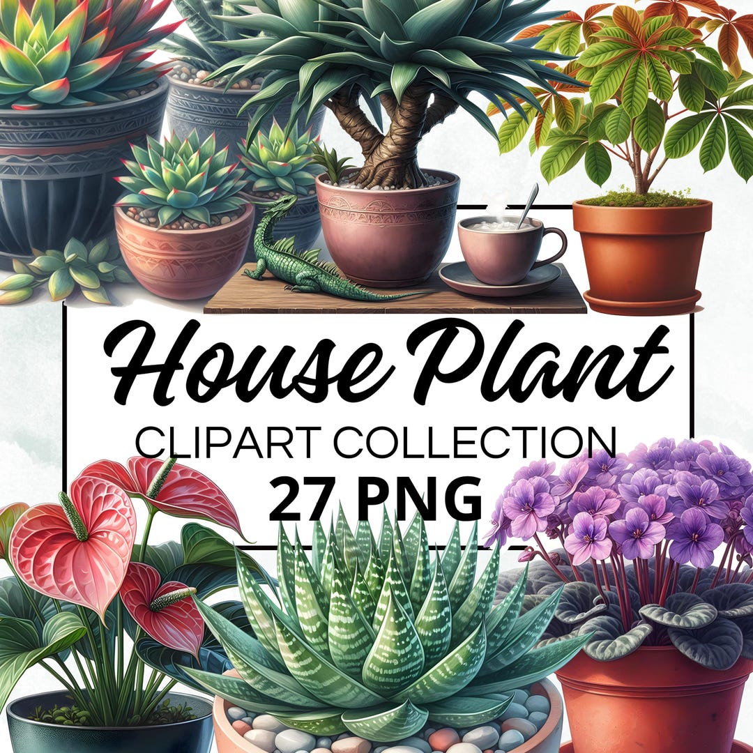 House Plant Watercolor Clipart Bundle, Digital Scrapbook & Craft ...