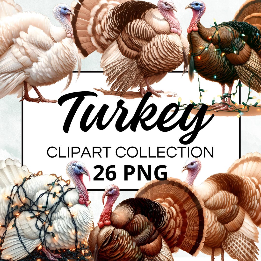 Turkey Watercolor Clipart Bundle, Digital Scrapbook & Craft Graphics ...
