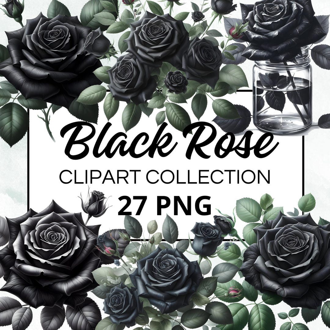 27 Watercolor Black Rose Clipart Bundle, Watercolor Clipart, PNG Format ...