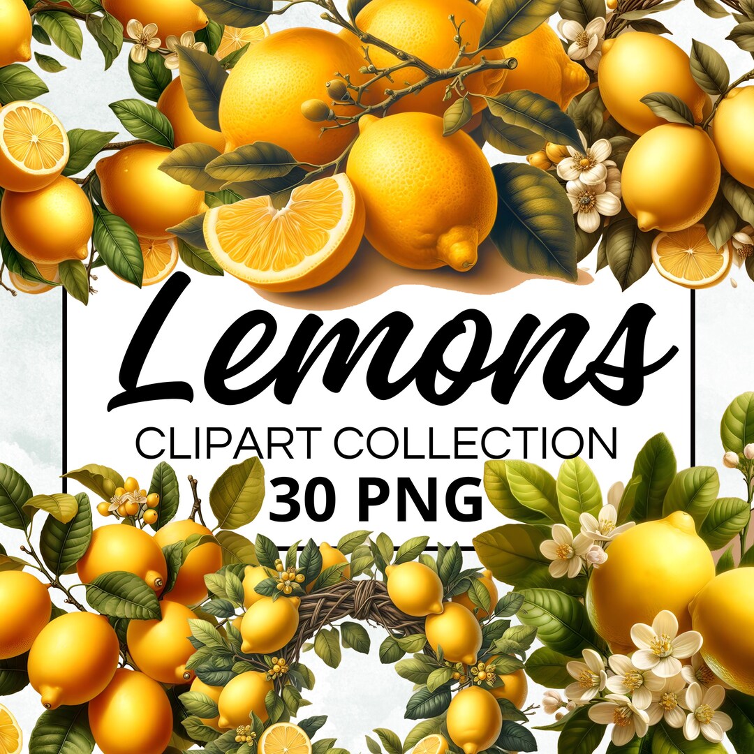 Lemons Watercolor Clipart Bundle, Digital Scrapbook & Craft Graphics ...