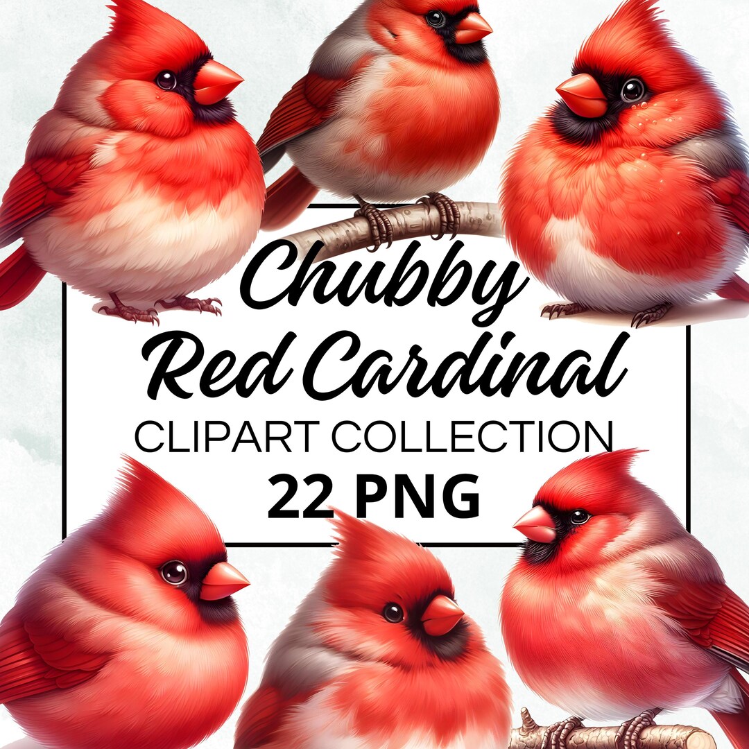 Red Cardinal Chubby Watercolor Clipart Bundle, Digital Scrapbook ...