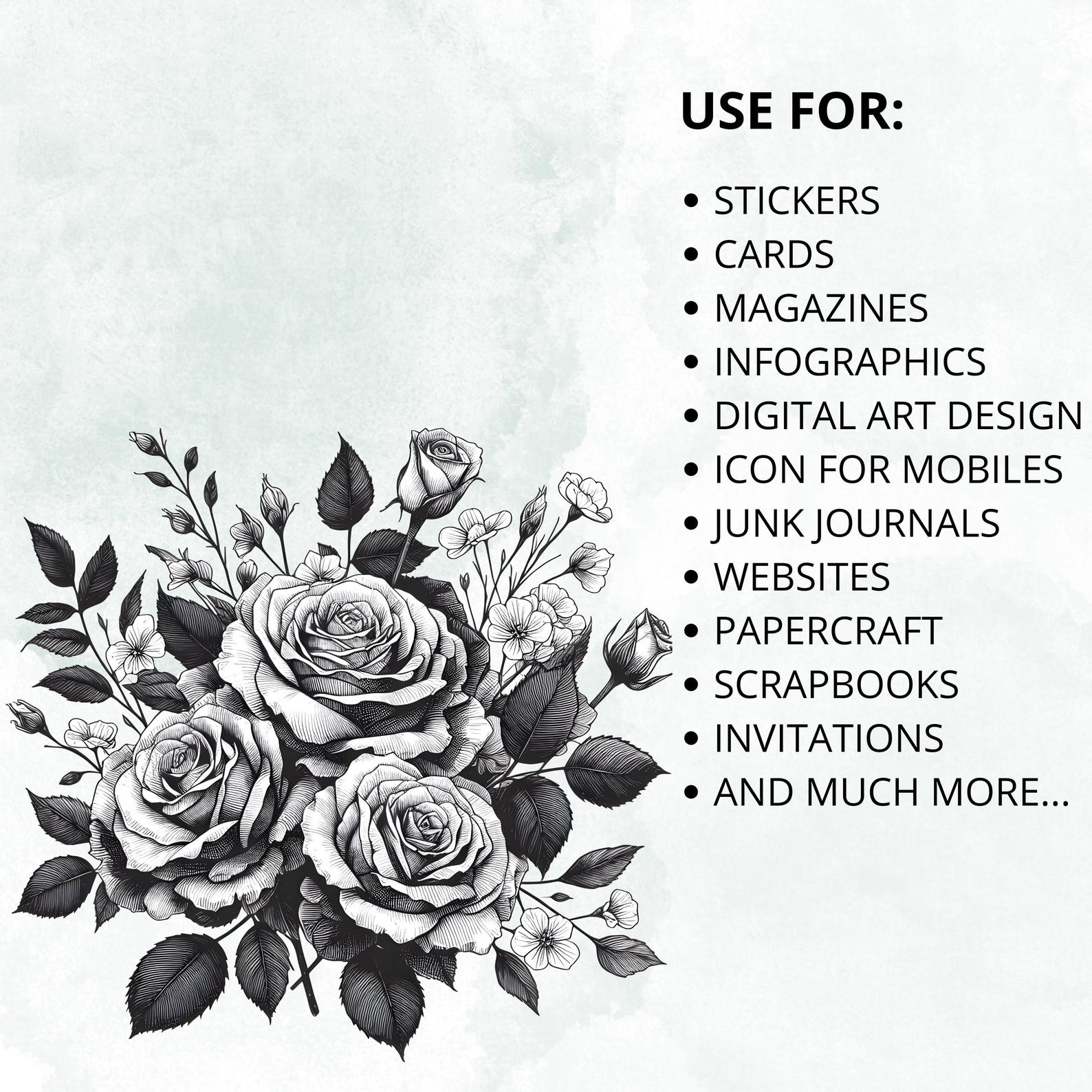 24 Watercolor Black Line Rose Clipart Bundle, Watercolor Clipart, PNG ...