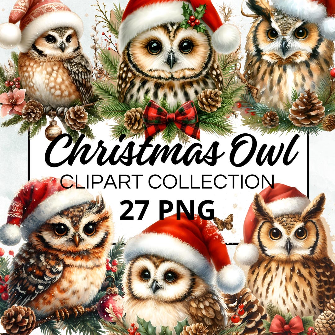 Christmas Owl Clipart Collection, 27 Watercolor Pngs for Instant ...