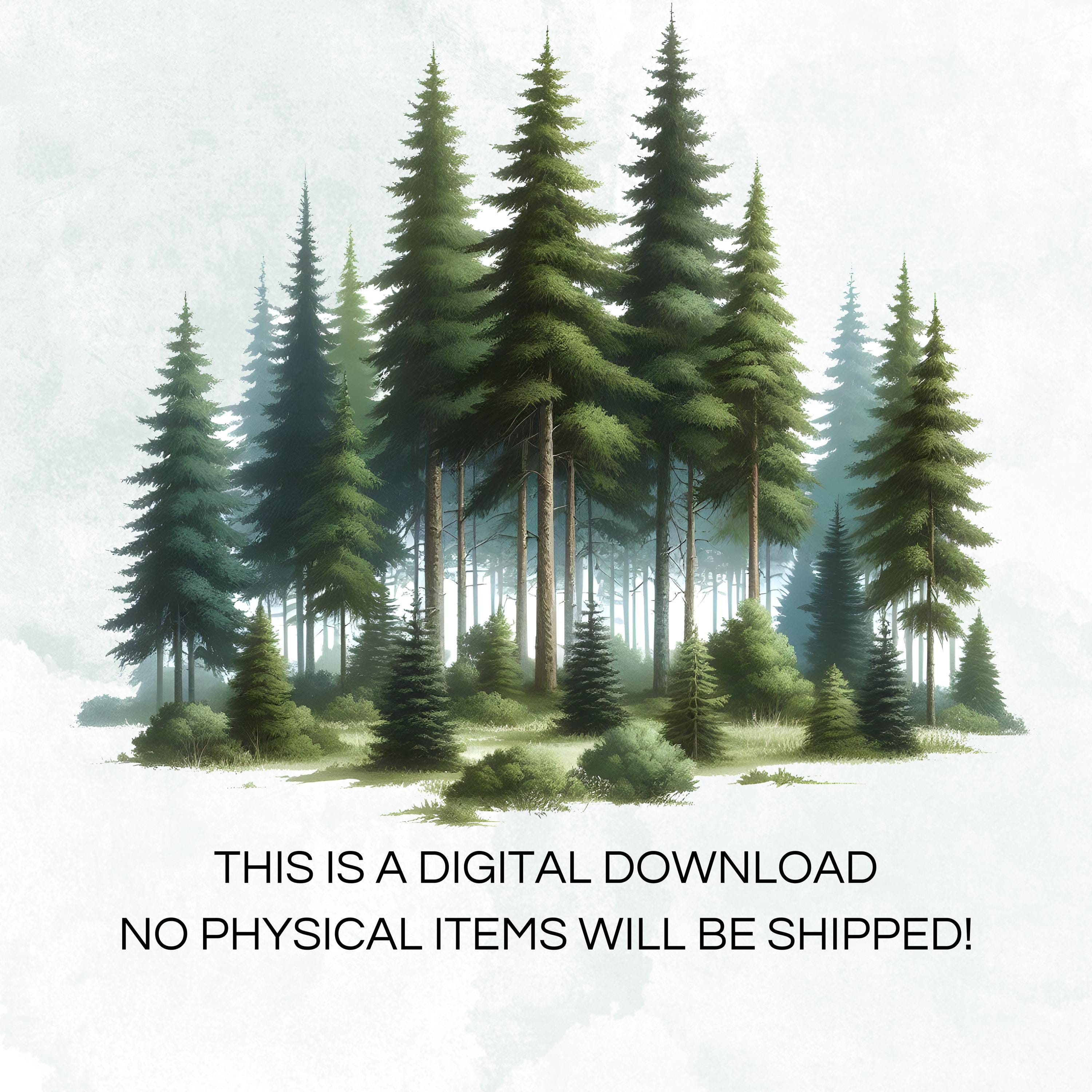 Forest Pine Tree Clipart Collection, 21 Watercolor Pngs for Instant ...