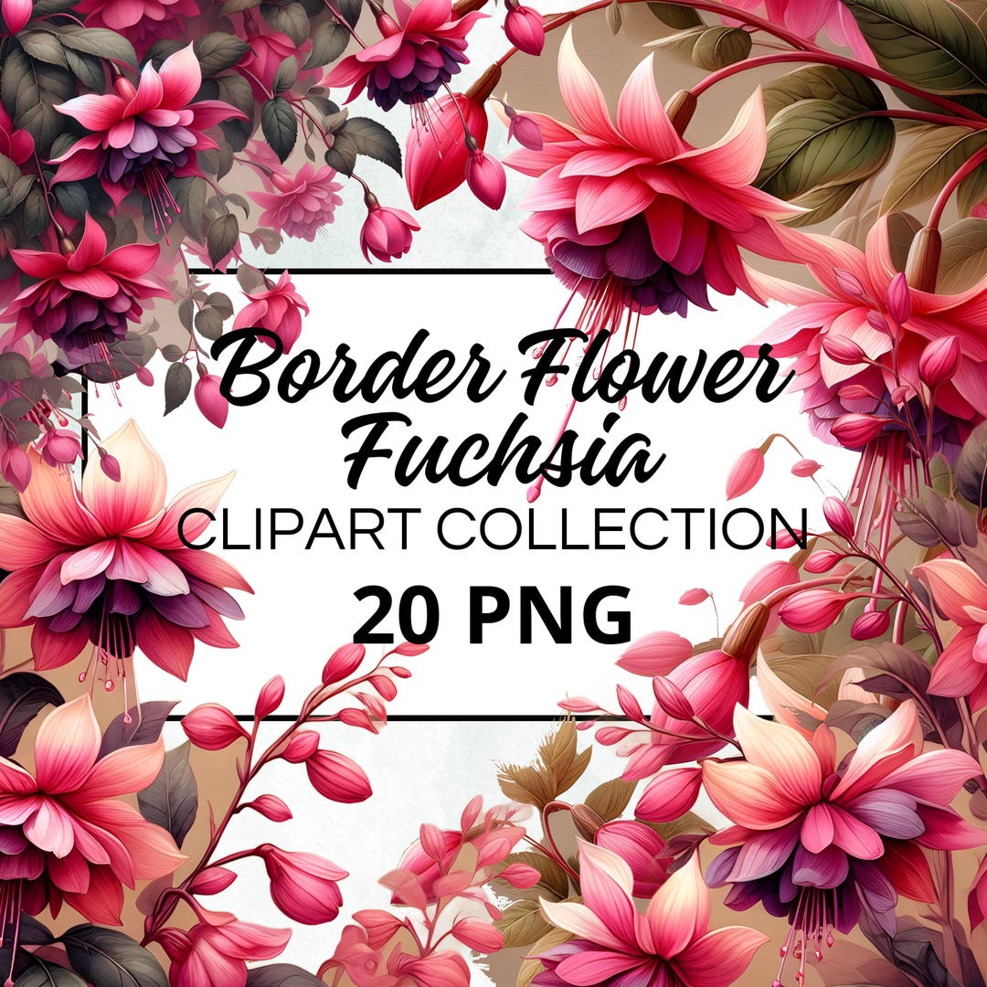 Border Flower Fuchsia Clipart Collection, 20 Watercolor Pngs for ...