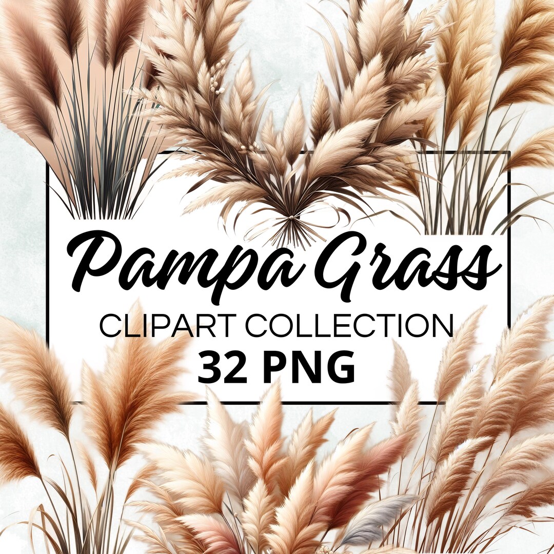 Pampa Grass Watercolor Clipart Bundle, Digital Scrapbook & Craft ...
