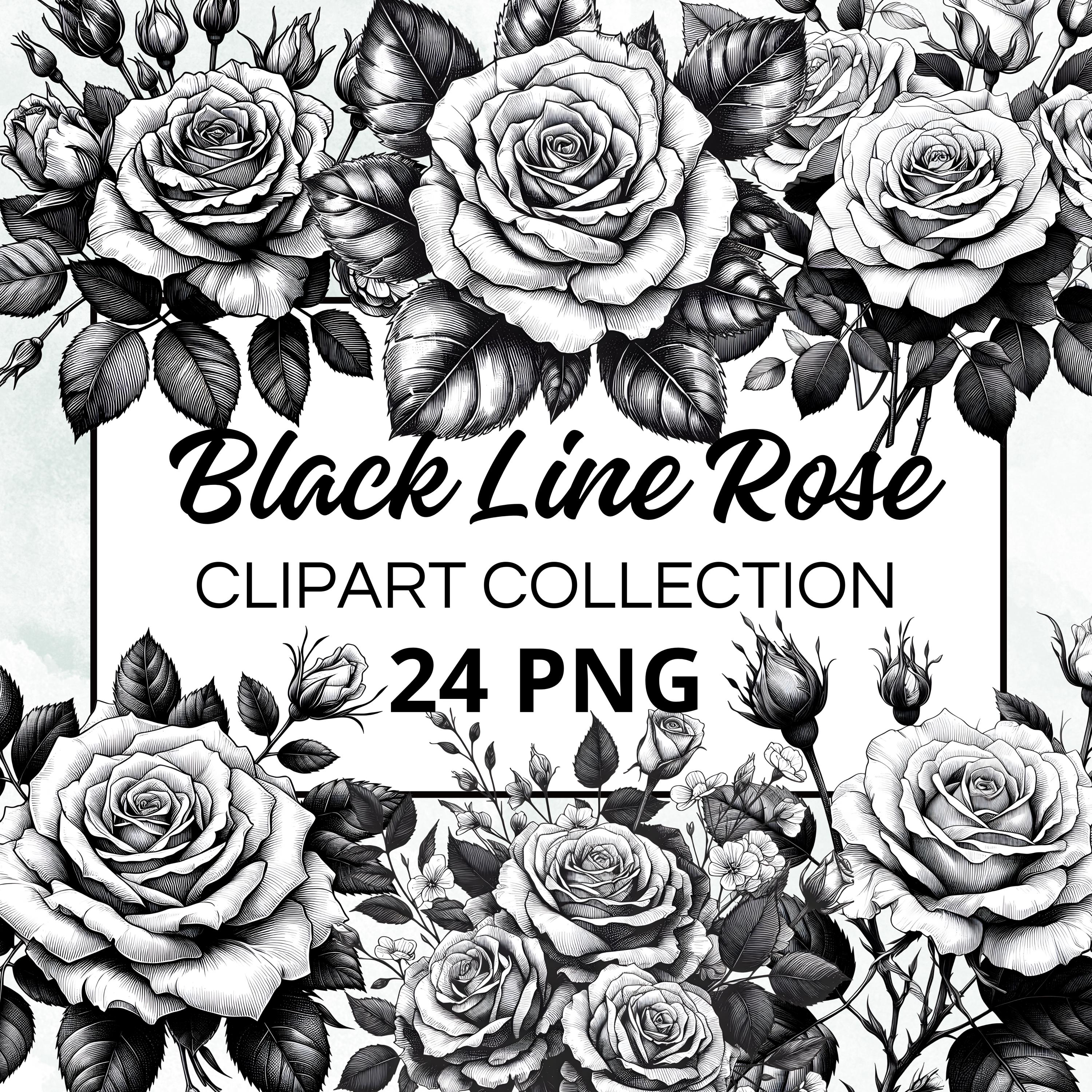 24 Watercolor Black Line Rose Clipart Bundle, Watercolor Clipart, PNG ...