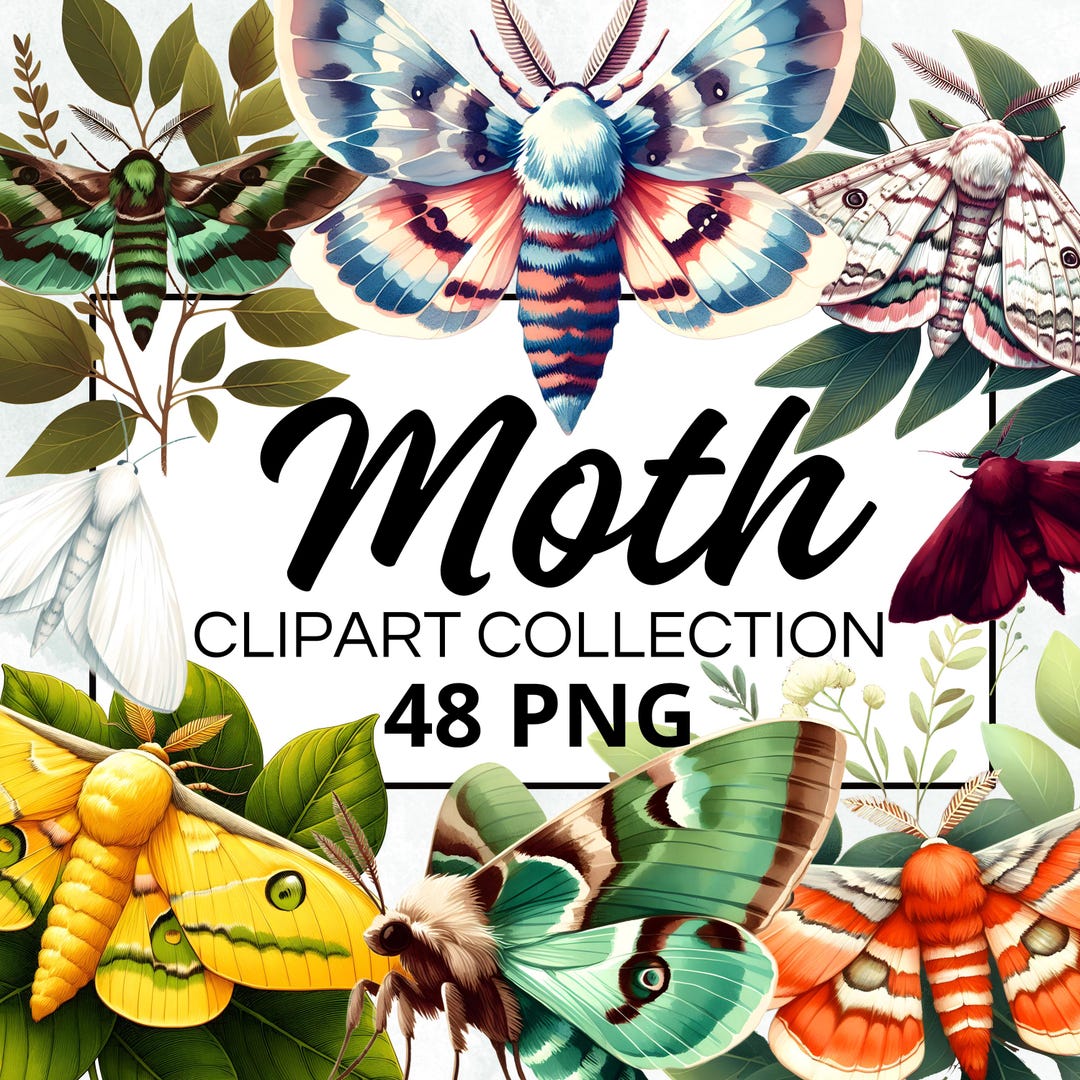 Moth Watercolor Clipart Bundle, Digital Scrapbook & Craft Graphics for ...
