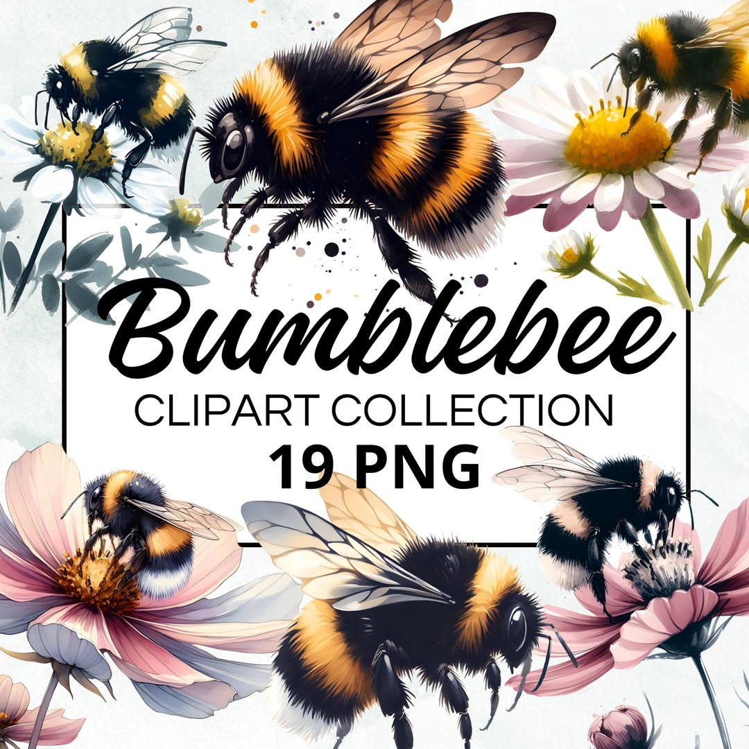 Bumblebee Clipart Collection, 19 Watercolor Pngs for Instant Download ...