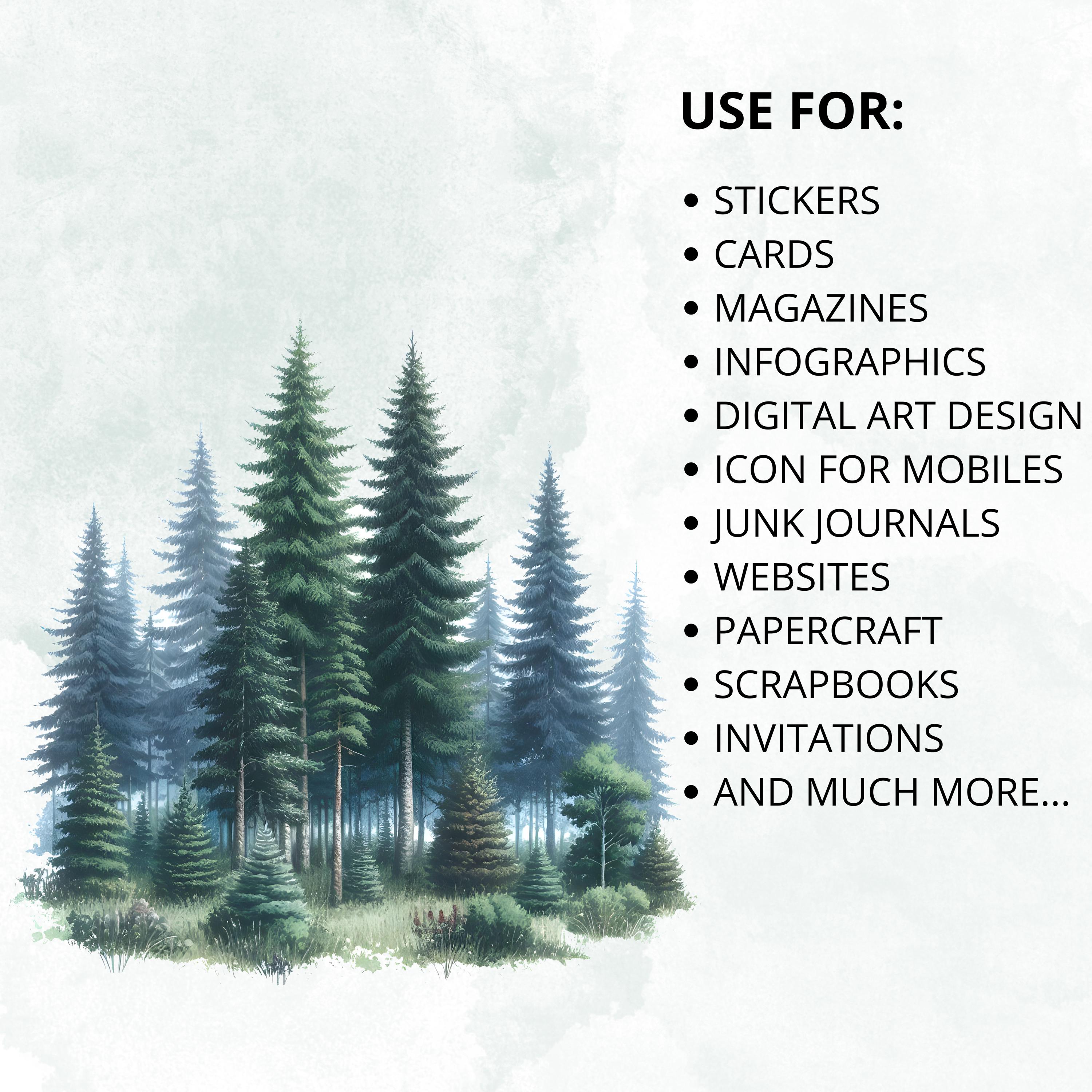 Forest Pine Tree Clipart Collection, 21 Watercolor Pngs for Instant ...