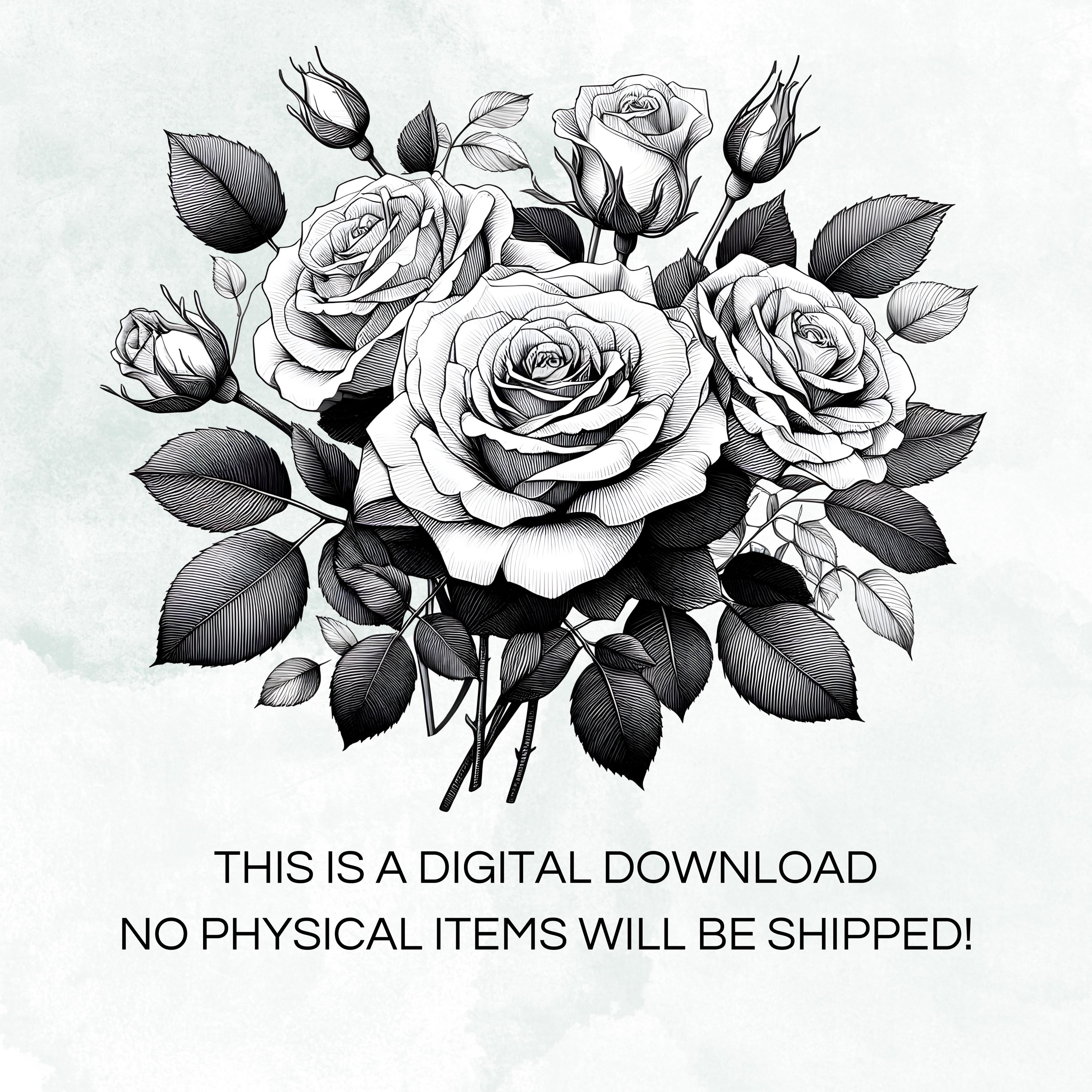 24 Watercolor Black Line Rose Clipart Bundle, Watercolor Clipart, PNG ...