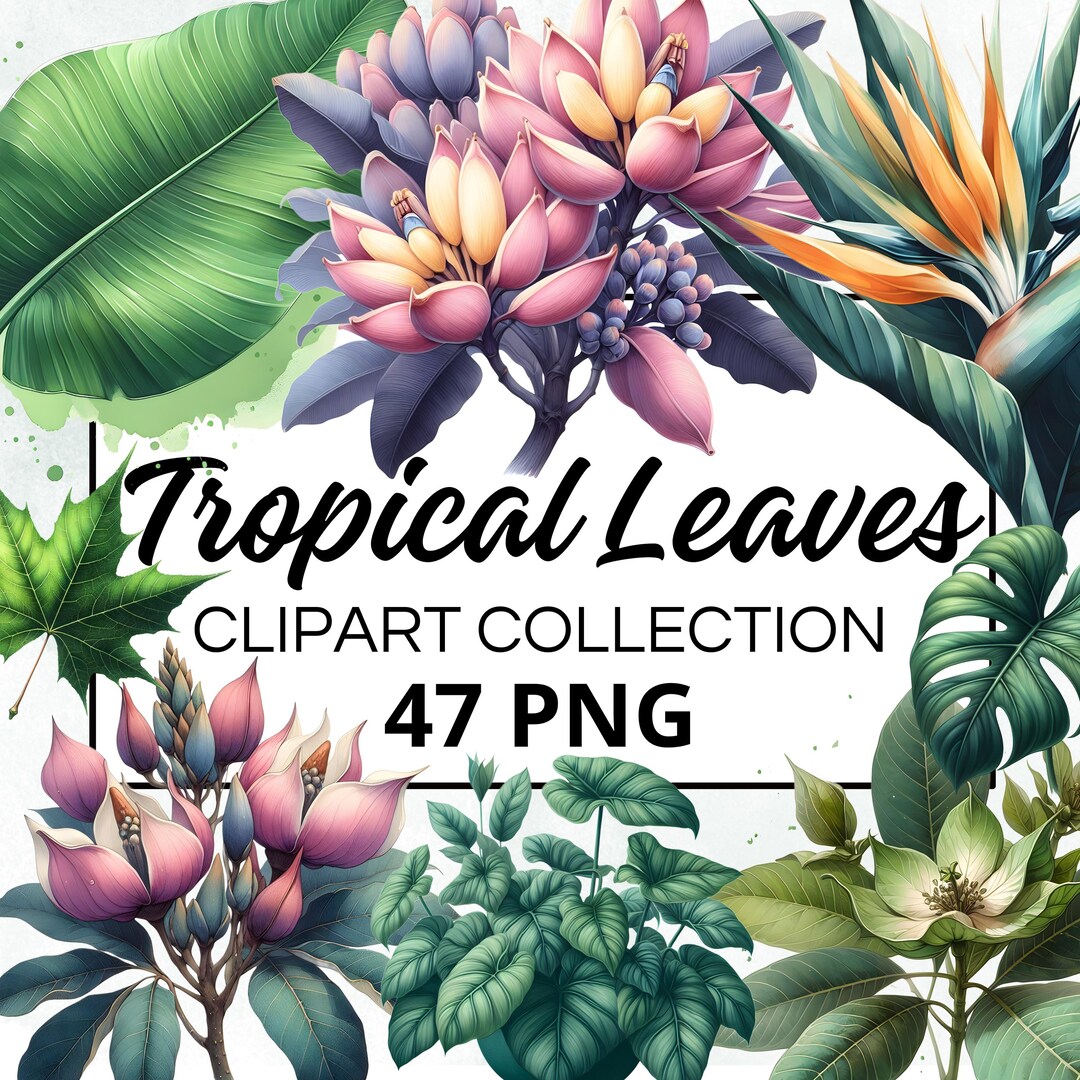 Tropical Leaves Watercolor Clipart Bundle, Digital Scrapbook & Craft ...