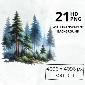 Forest Pine Tree Clipart Collection, 21 Watercolor Pngs for Instant ...
