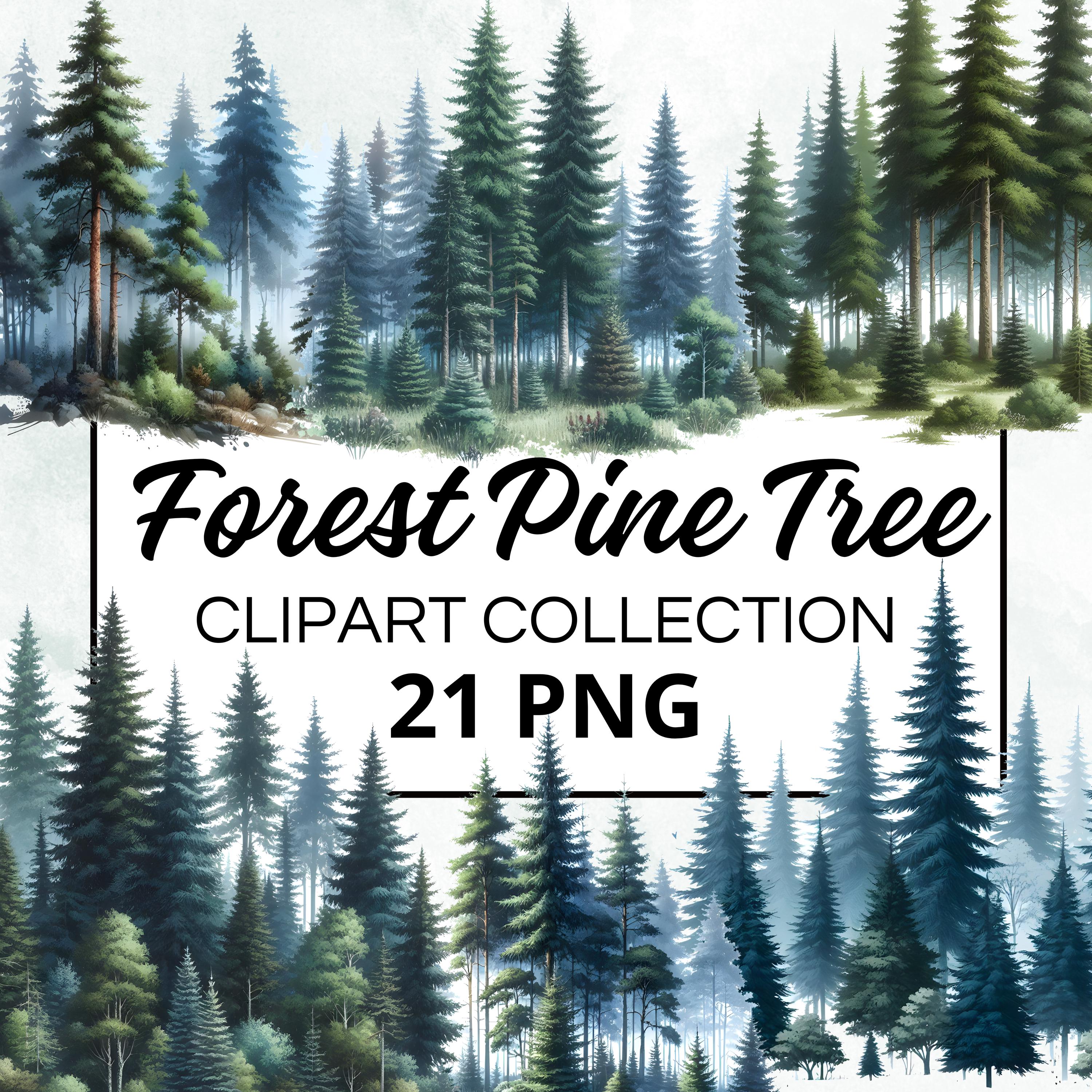 Forest Pine Tree Clipart Collection, 21 Watercolor Pngs for Instant ...