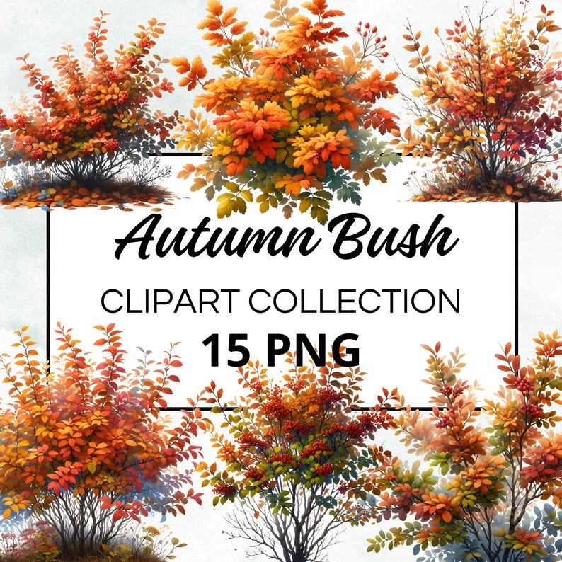 15 Clipart, Watercolor Autumn Bush, Watercolor Clipart, PNG Format ...