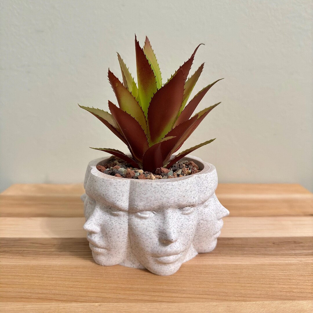 Polyface Planter 3D Printed Multi Face Planter Pot Decorative Planter ...