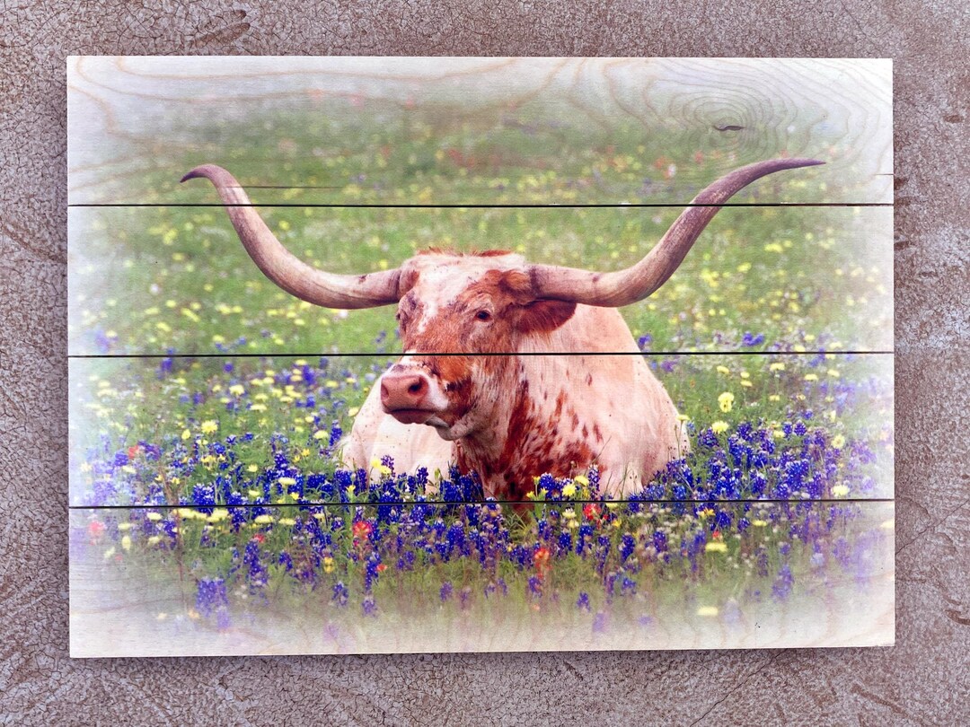 Texas Longhorn WOOD PALLET "country Vintage Look" Bluebonnets ...