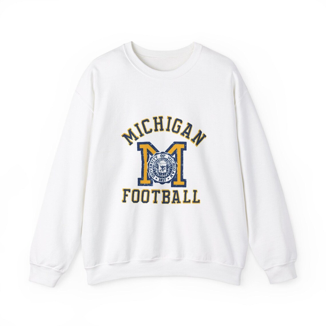 University of Michigan, Michigan State, Go Blue, Michigan Football Fans ...