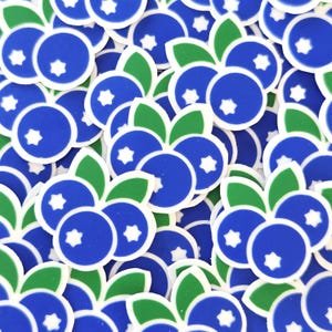 Small Blueberry Fruit Sticker Set, Die Cut Glitter Vinyl Decals, Peel ...