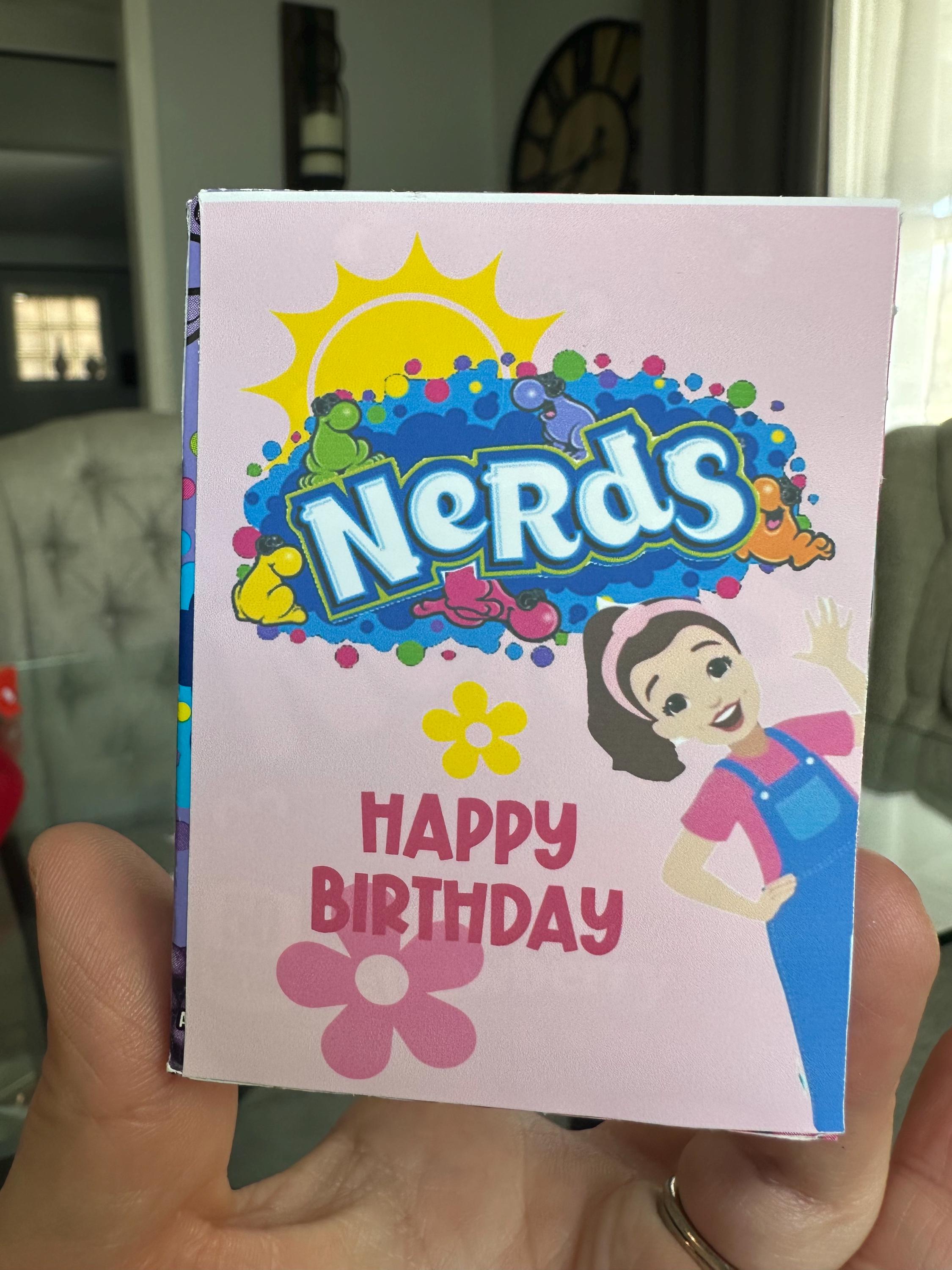 Miss Rachel Bundle, Custom Chip Bags, Birthday Party Favors, Ms Rachel ...