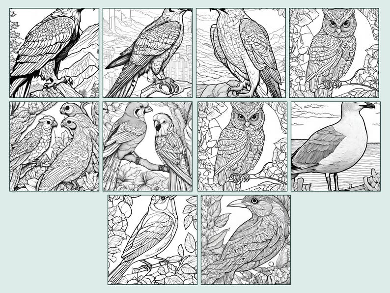 70 Printable Bird Coloring Pages: A Collection of Diverse Birds for All ...