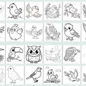 70 Printable Bird Coloring Pages: A Collection of Diverse Birds for All ...