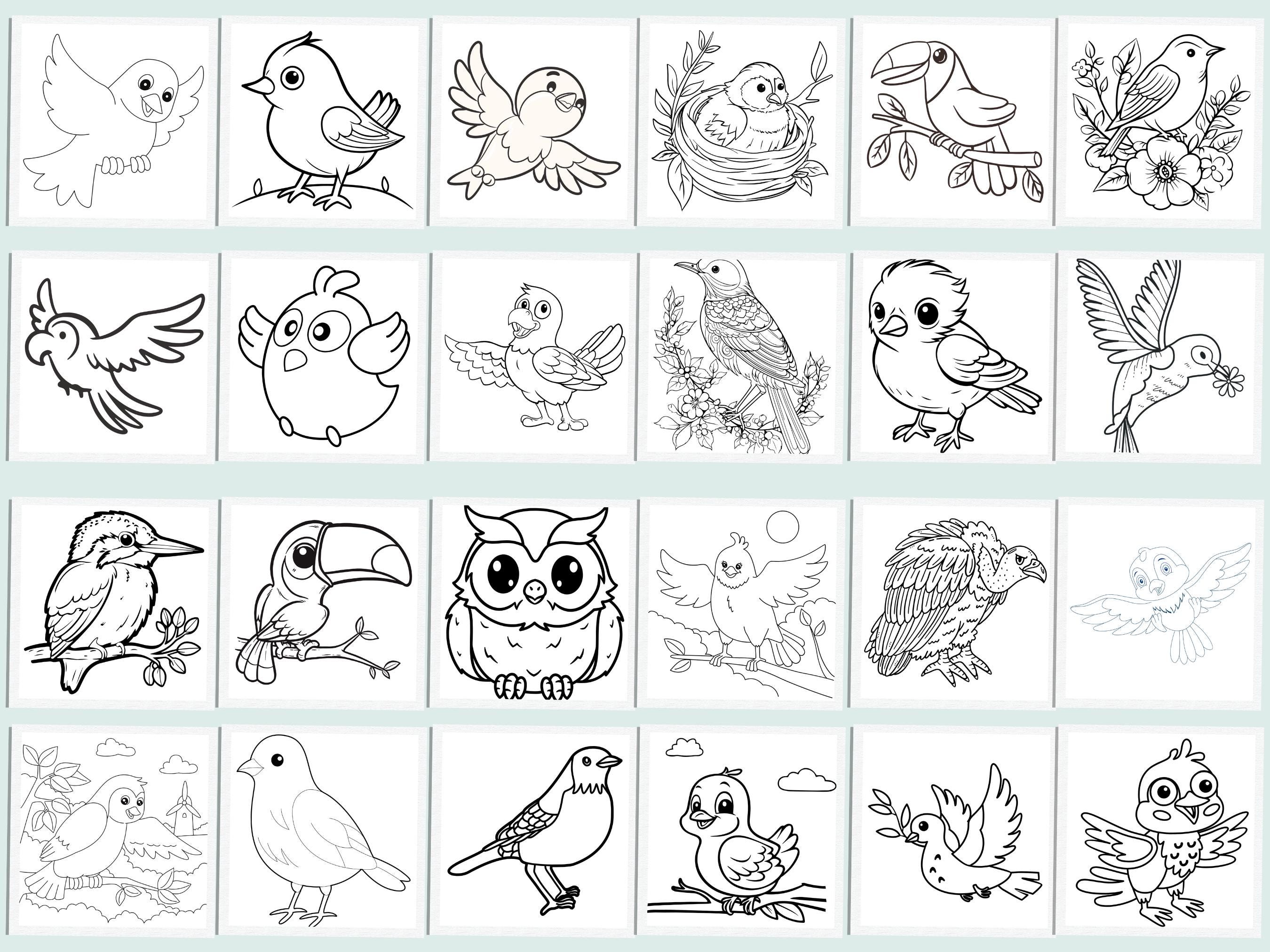 70 Printable Bird Coloring Pages: A Collection of Diverse Birds for All ...
