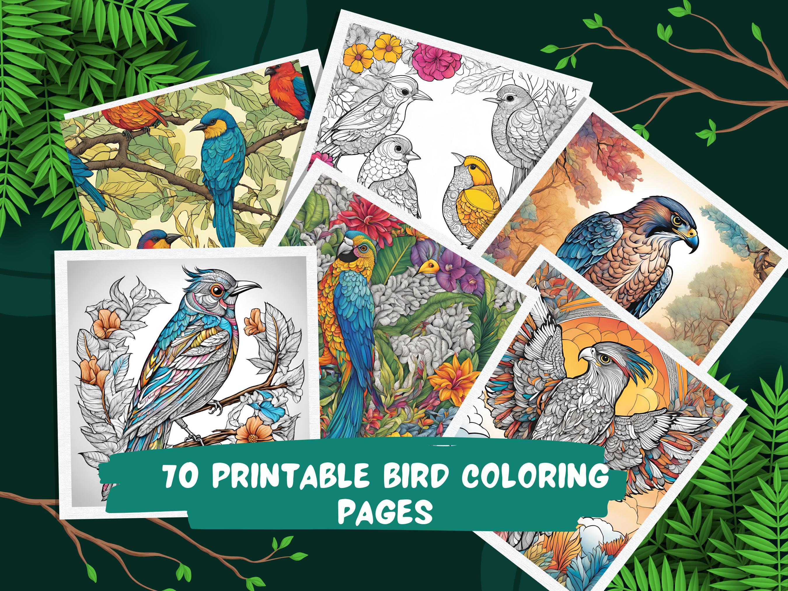 70 Printable Bird Coloring Pages: A Collection of Diverse Birds for All ...