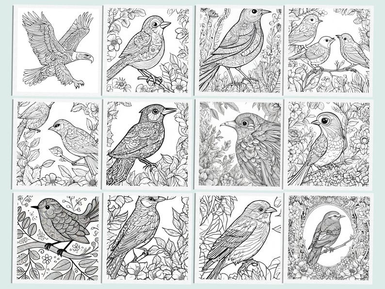 70 Printable Bird Coloring Pages: A Collection of Diverse Birds for All ...