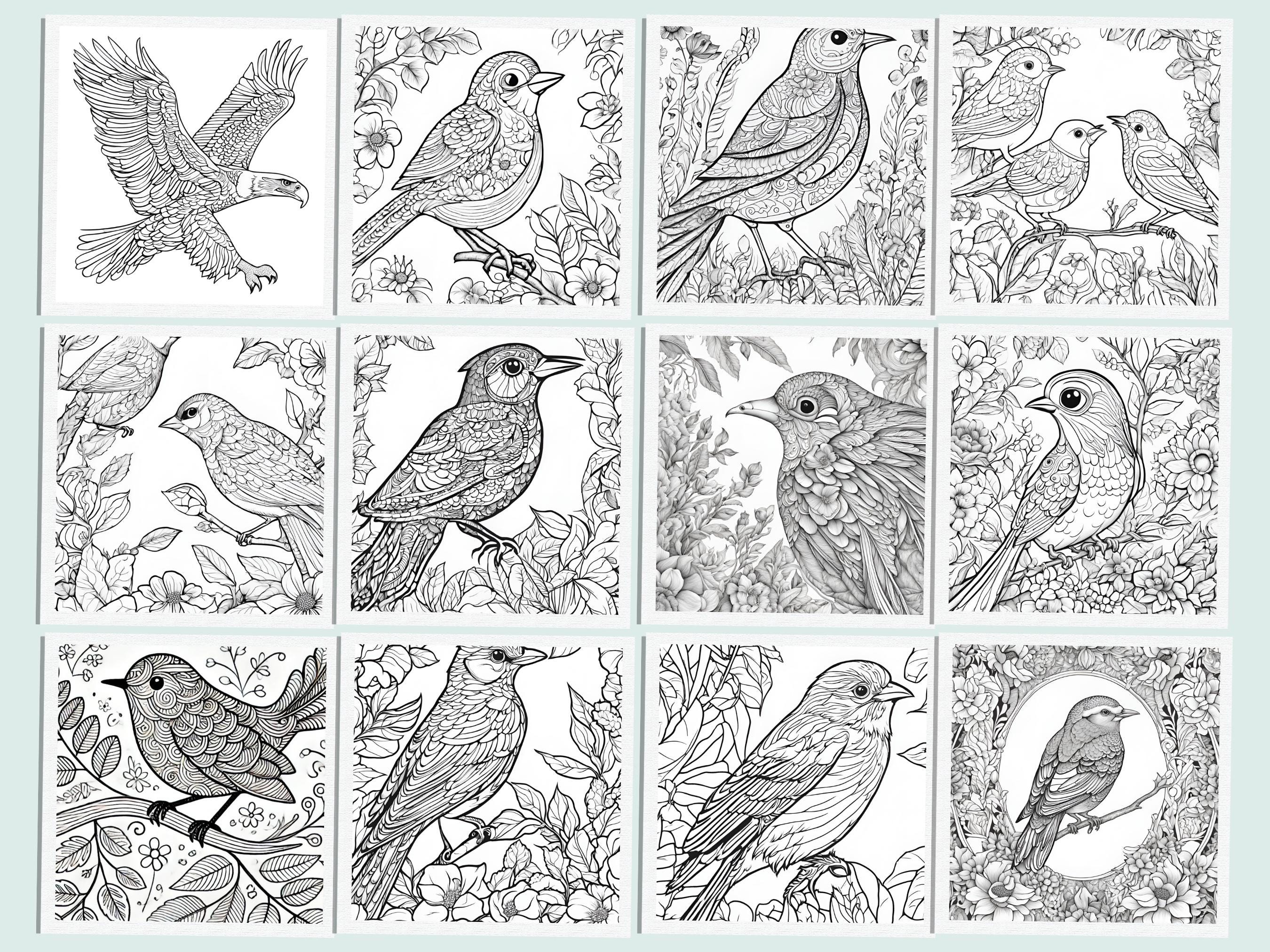70 Printable Bird Coloring Pages: A Collection of Diverse Birds for All ...