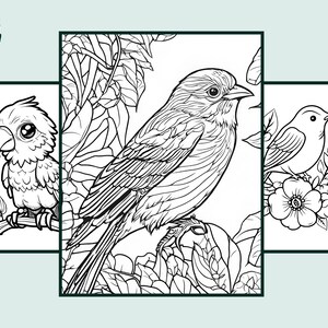 70 Printable Bird Coloring Pages: A Collection of Diverse Birds for All ...