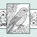 70 Printable Bird Coloring Pages: A Collection of Diverse Birds for All ...