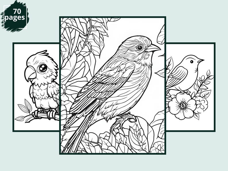 70 Printable Bird Coloring Pages: A Collection of Diverse Birds for All ...