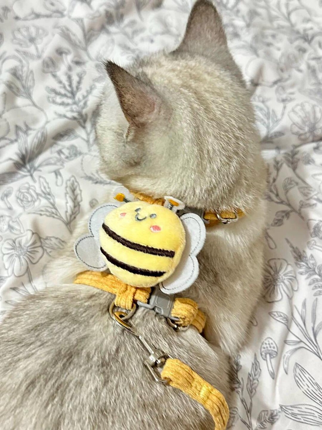 NOOKCUDDLES Cute Bee Harness Leash Set Cat Dog Escape-proof Adjustable ...