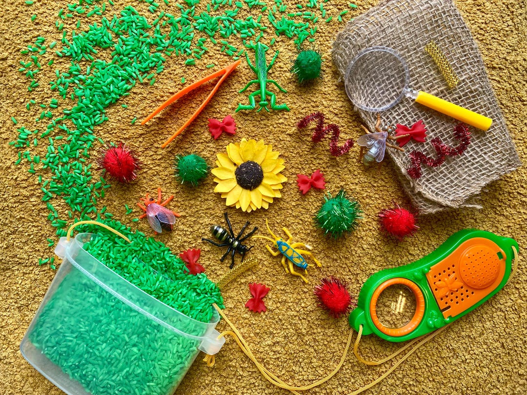 Sensory Bug Hunt, Sensory Play, Gift for Kids, Pretend Play, Travel ...