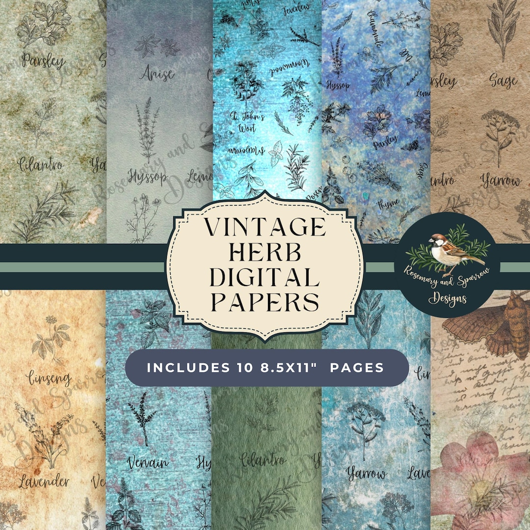 Vintage Herb Digital Papers | 10 Digital Download Pages | Botanical ...