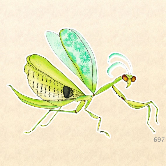 Praying Mantis Sticker Garden Stickers Gardening Stickers | Etsy