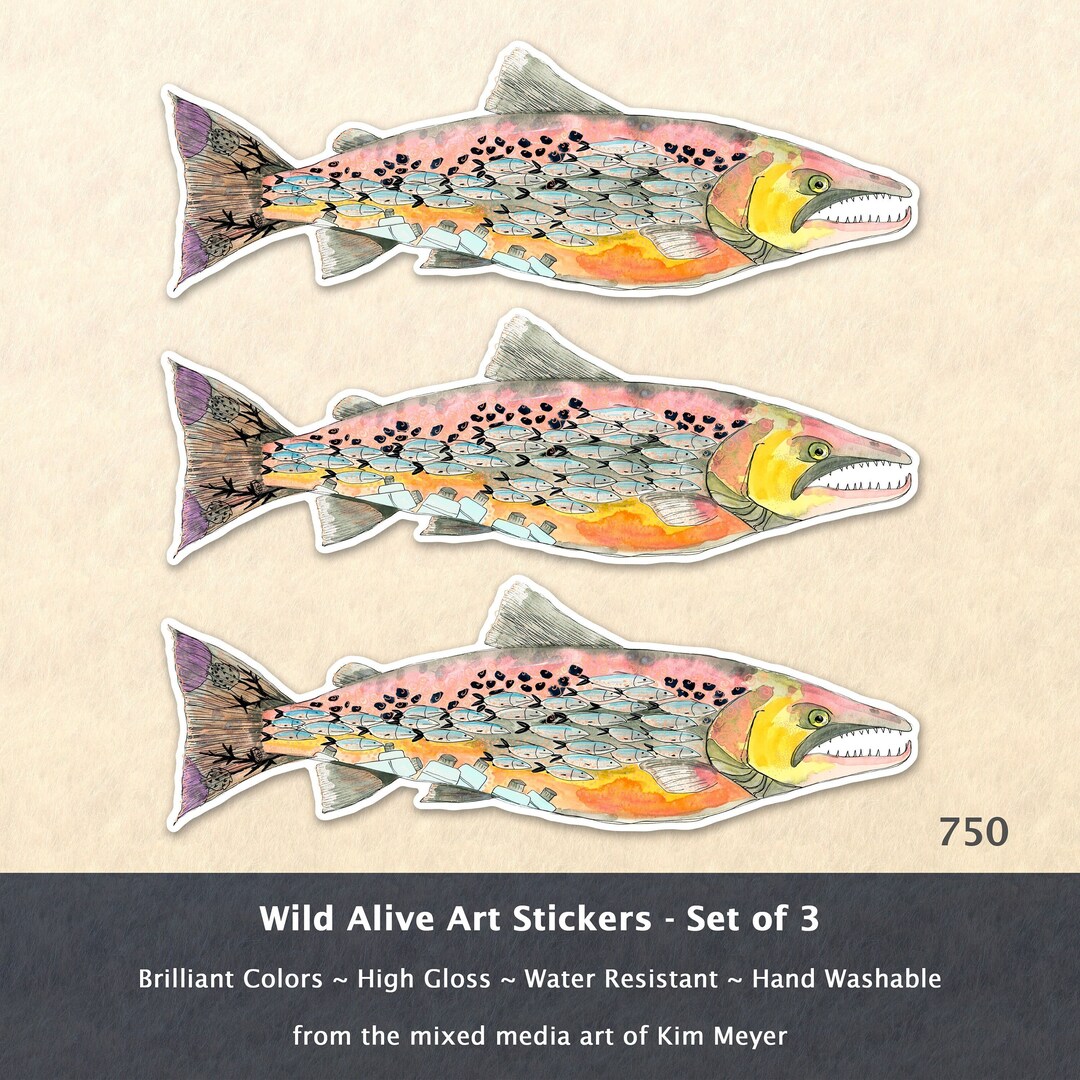 Fish Sticker Salmon Sticker Eco Sticker Sea Life Sticker Laptop Sticker ...