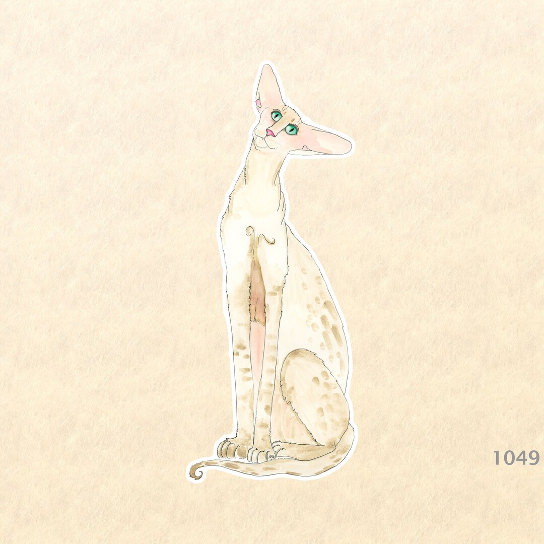 Cornish Rex Cat Sticker Laptop Sticker Water Bottle Sticker ...