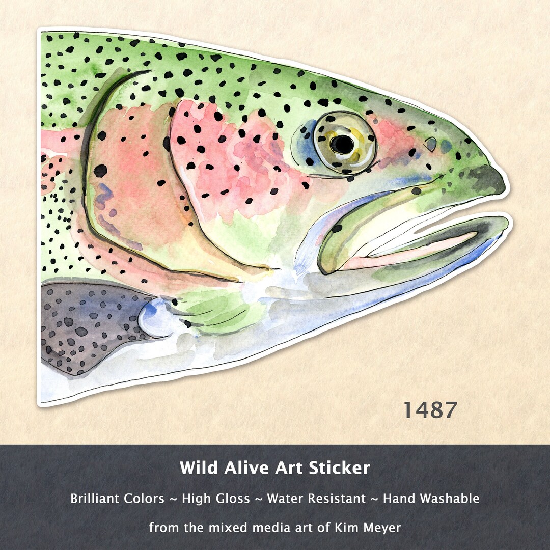 Rainbow Trout Sticker Animal Sticker Fish Sticker Water Bottle - Etsy