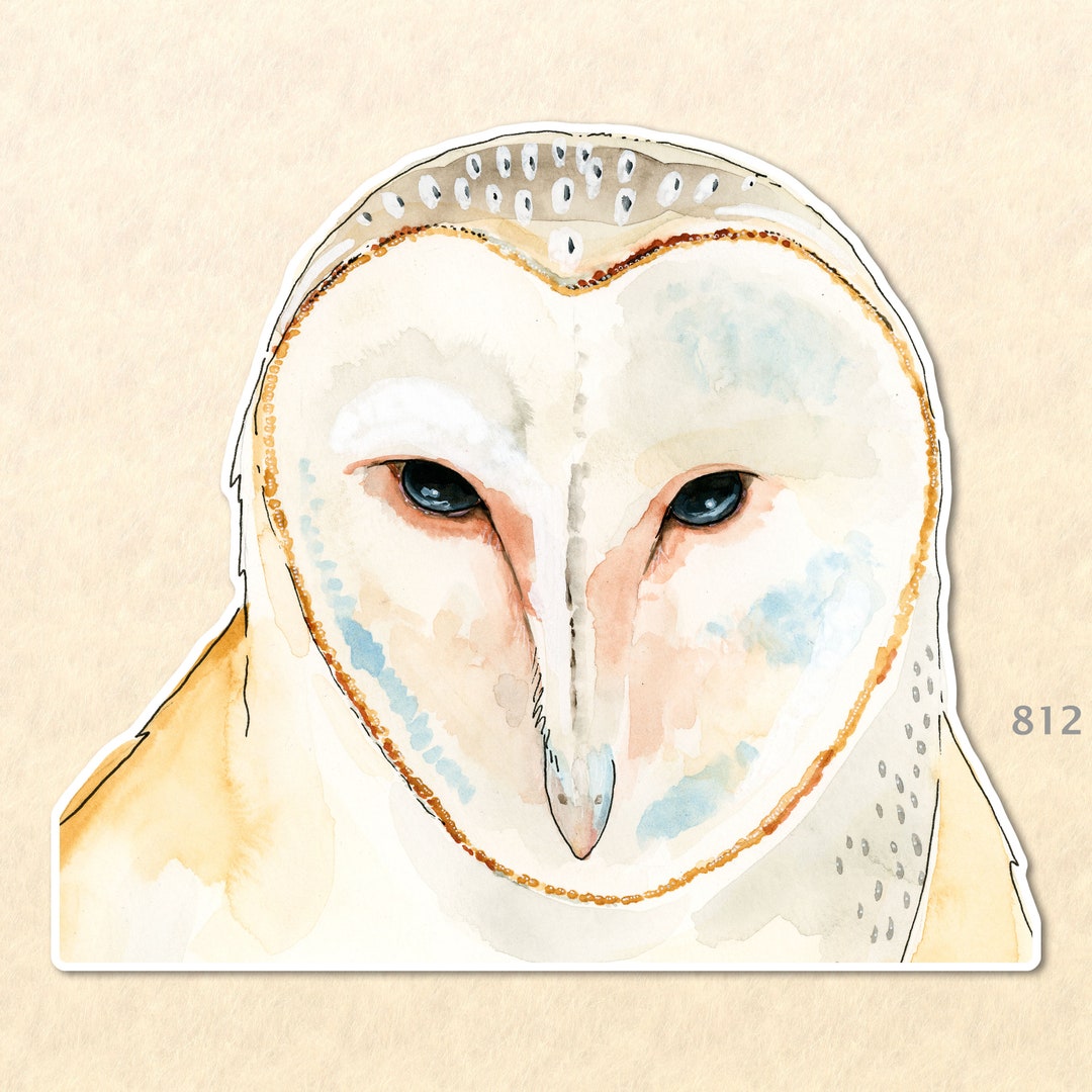 Barn Owl Sticker Bird Sticker Wildlife Sticker Wild Bird - Etsy