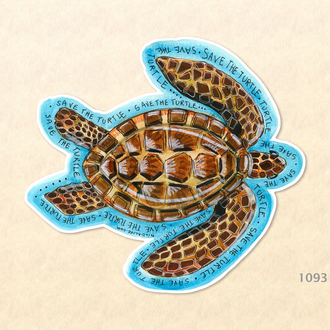 Save the Turtle Sticker Eco Sticker Sea Turtle Sticker Sea Life Sticker ...
