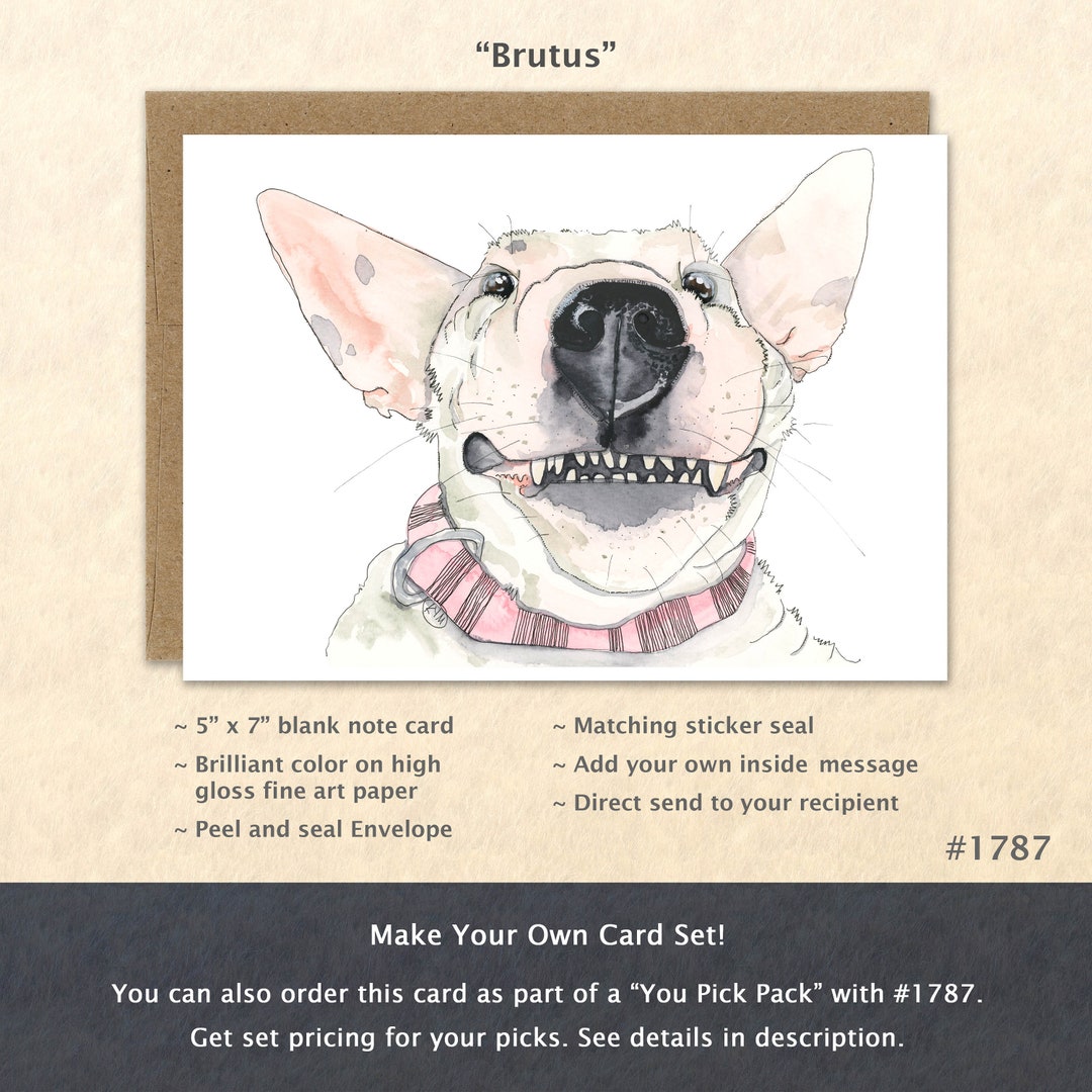 Bull Terrier Greeting Card Bullseye Dog Card Cute Animal Card ...