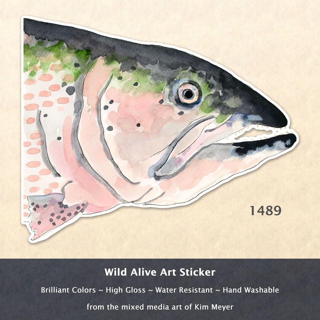Chinook Salmon Sticker King Salmon Fish Sticker Sport Fishing Sticker ...
