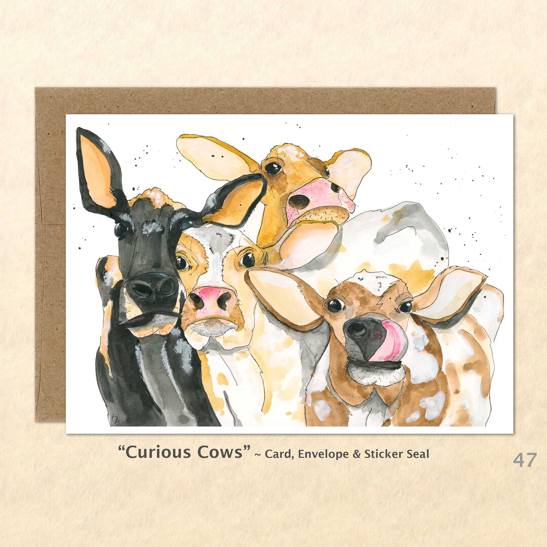 Curious Cows Note Card Cow Cards Farm Cards Farm Yard Animals ...