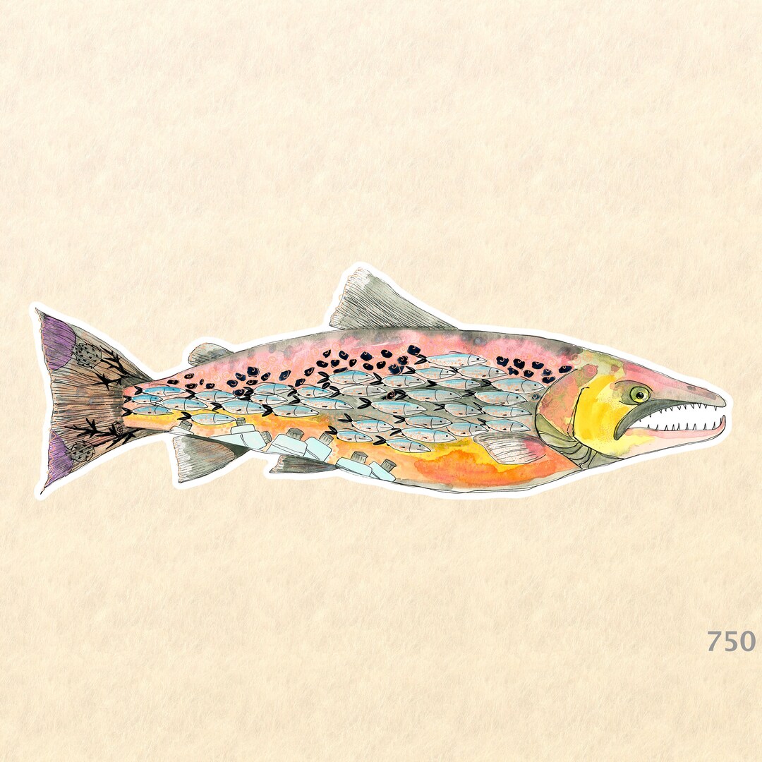 Fish Sticker Salmon Sticker Eco Sticker Sea Life Sticker - Etsy