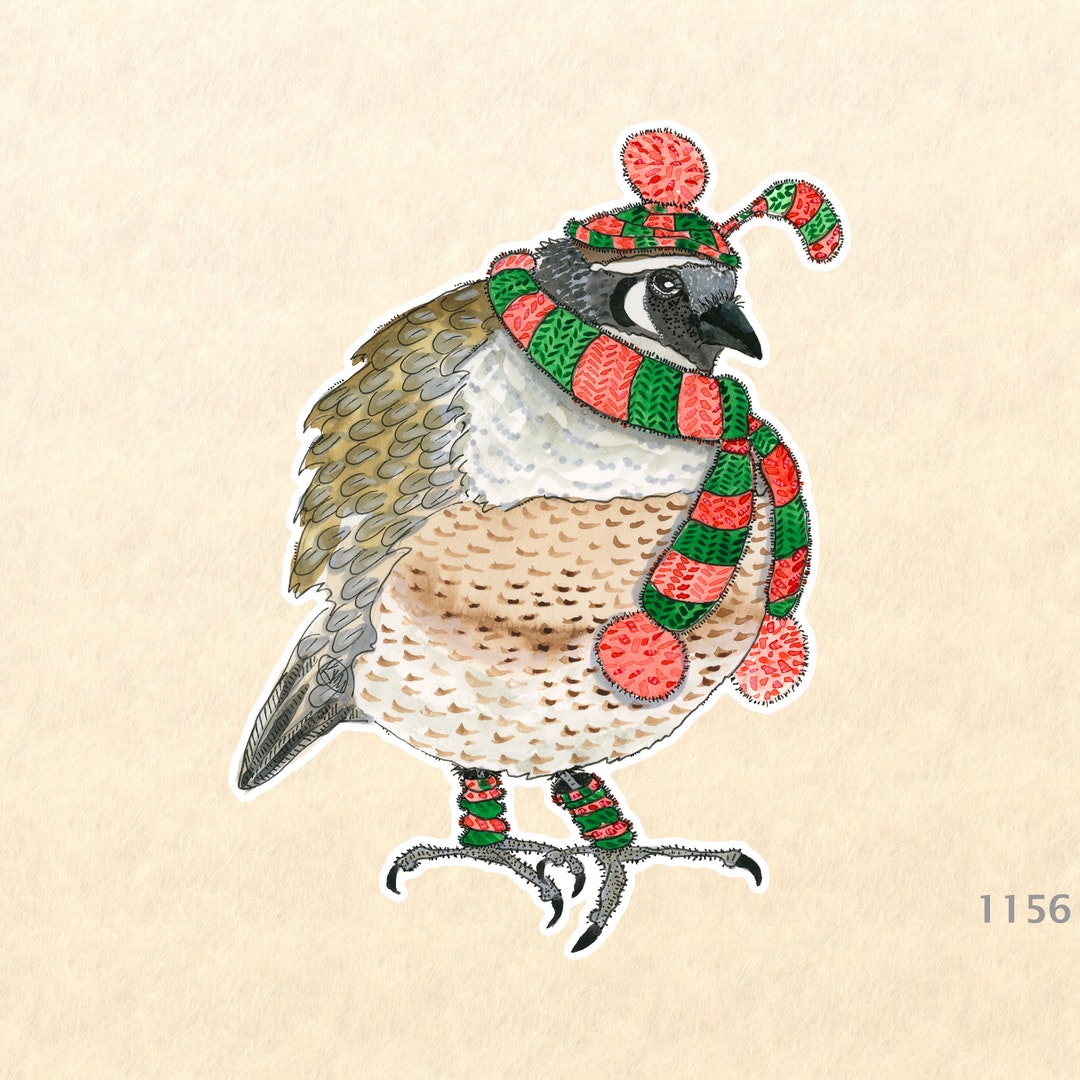 Christmas Quail With a Red and Green Knitted Scarf and Cap Sticker ...