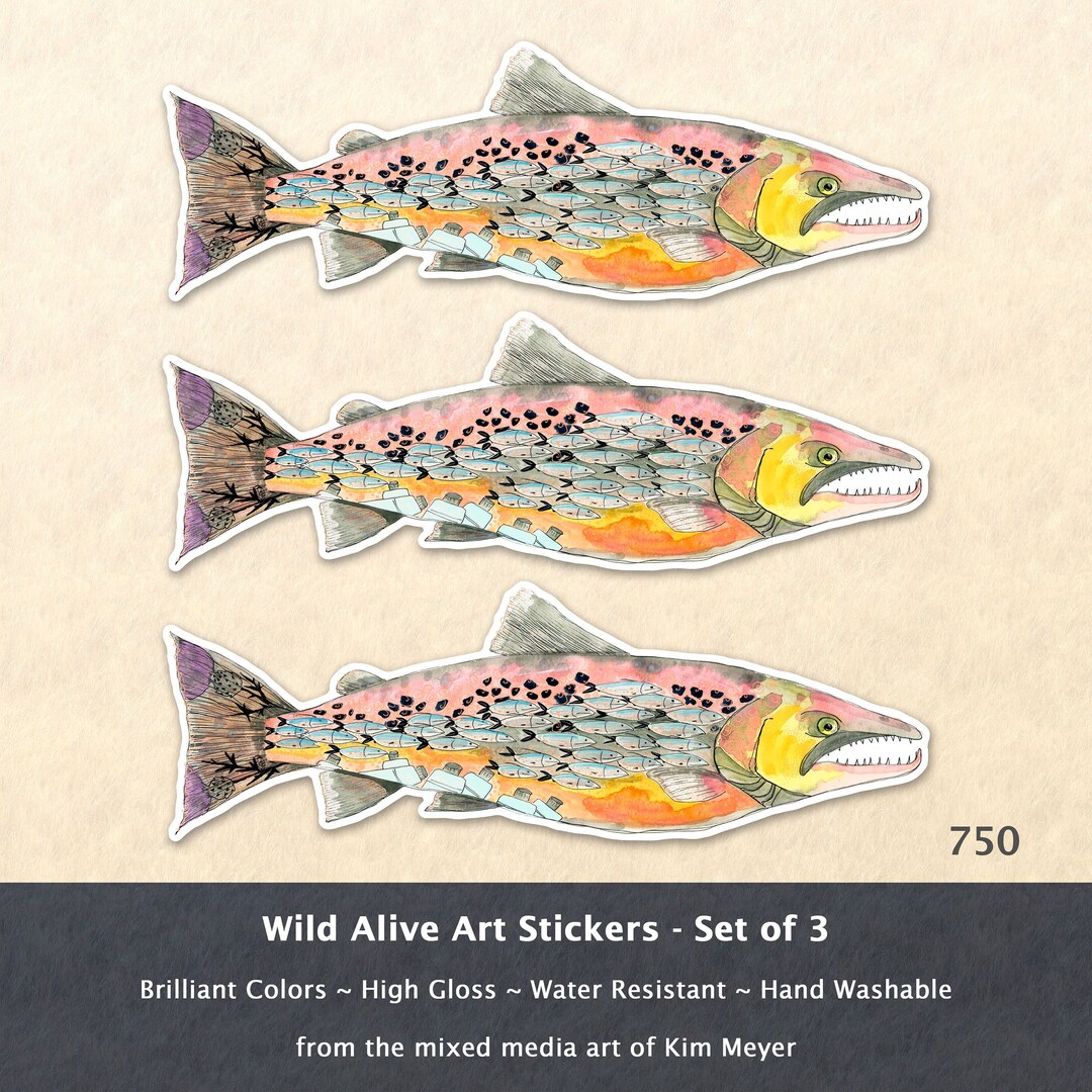 Fish Sticker Salmon Sticker Eco Sticker Sea Life Sticker - Etsy